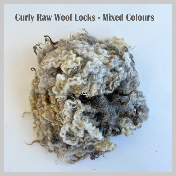 Fiber - natural white core wool roving – felting 4 fun